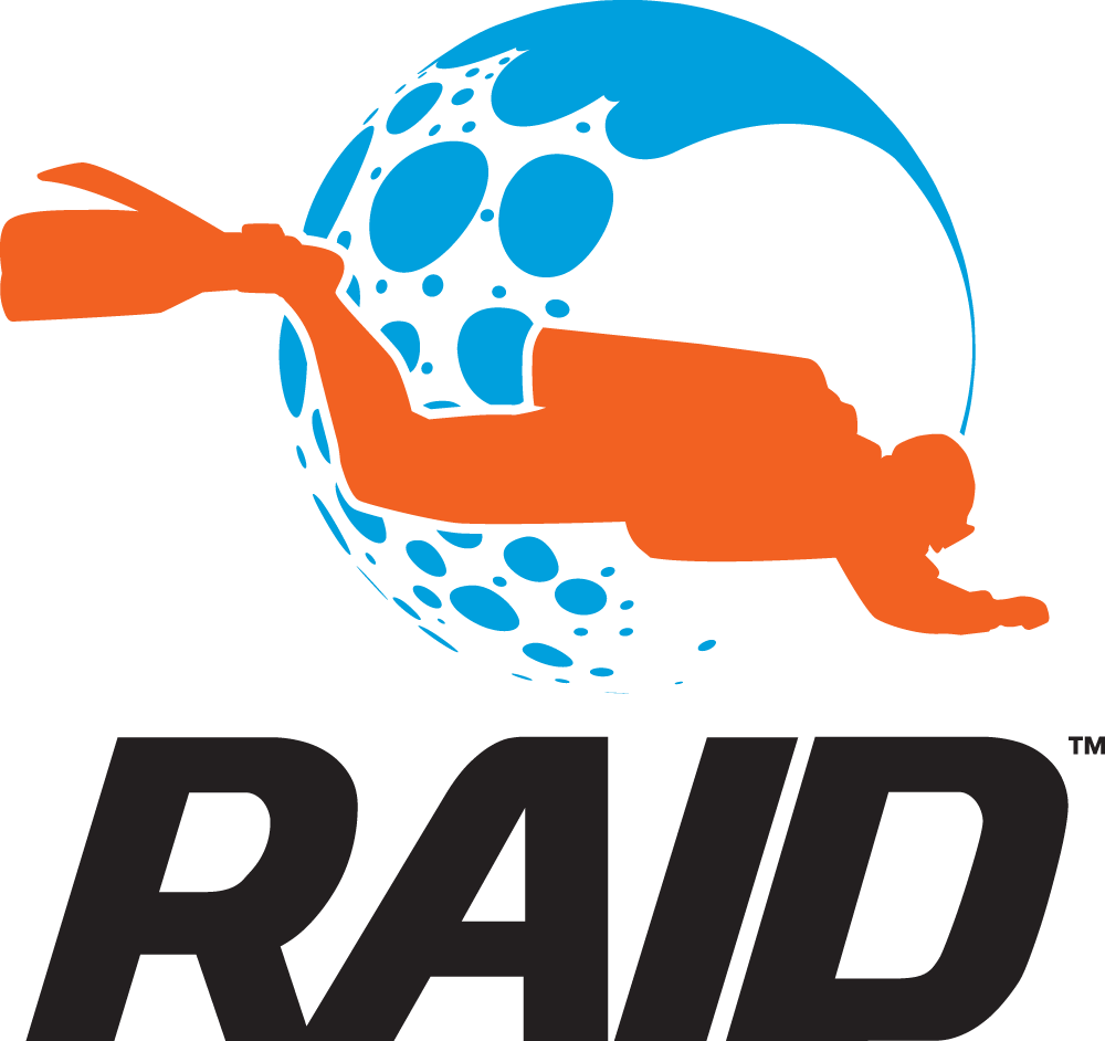 Raid Logo